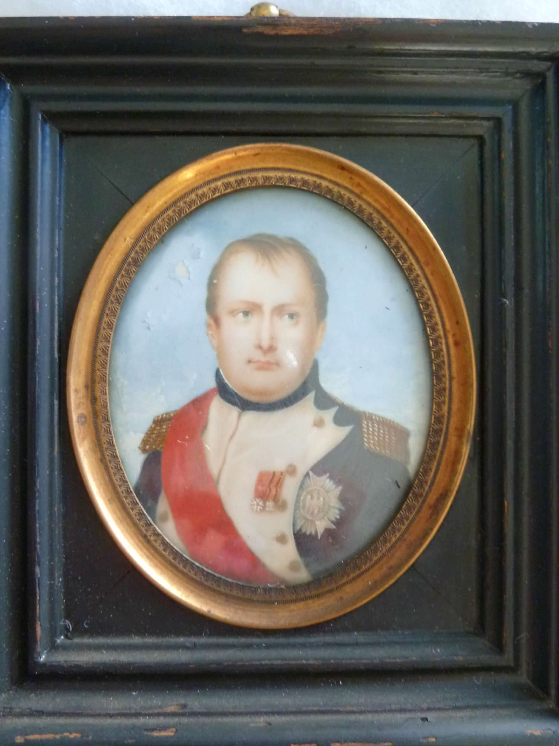 What did Napoleon look like? - Shannon Selin