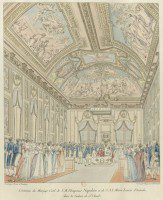 The Marriage of Napoleon and Marie Louise - Shannon Selin