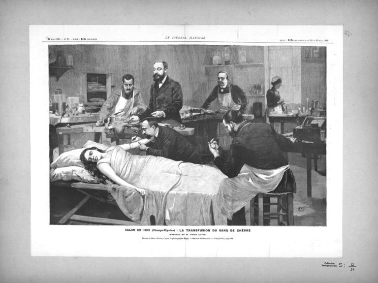 Blood Transfusion History: Infusing Life - Shannon Selin