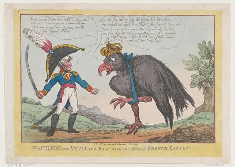 Symbols of Napoleon: The Eagle - Shannon Selin